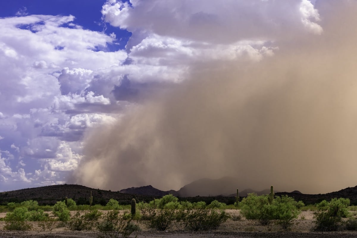 The Dangers of Sandstorms for Arizona Drivers - Plattner Verderame ...